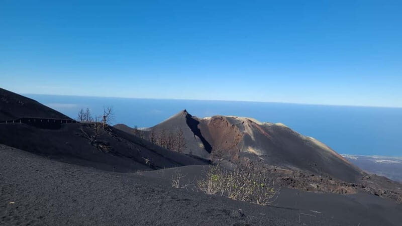 La Palma: Tajogaite Volcano Guided Hike - Who Will Love This Tour?