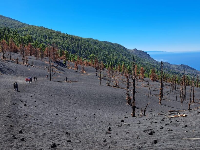 La Palma: Tajogaite Volcano Guided Trek - Key Points