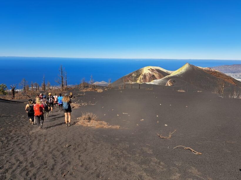 La Palma: Tajogaite Volcano Guided Trek - An Authentic Look at La Palmas Volcanic Landscape