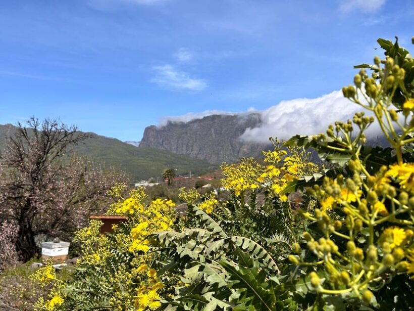 La Palma : Tour of an ecological farm w/ animals & tasting - Frequently Asked Questions (FAQs)