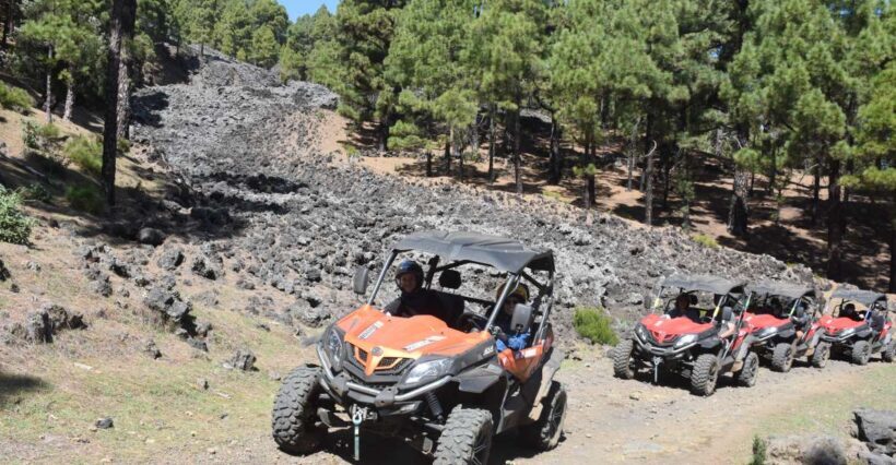 La Palma: Volcano Route Buggy Tour - The True Value of the Volcano Route Buggy Tour