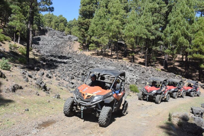 La Palma: Volcano Route Buggy Tour - Who Should Consider This Tour?