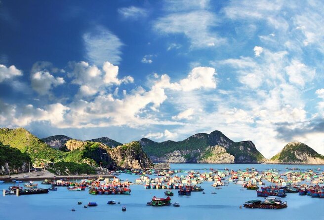 La Pandora Cruise Explore Ha Long Bay and Cat Ba Island 2 days 1 night on boat - What Makes This Cruise Stand Out?