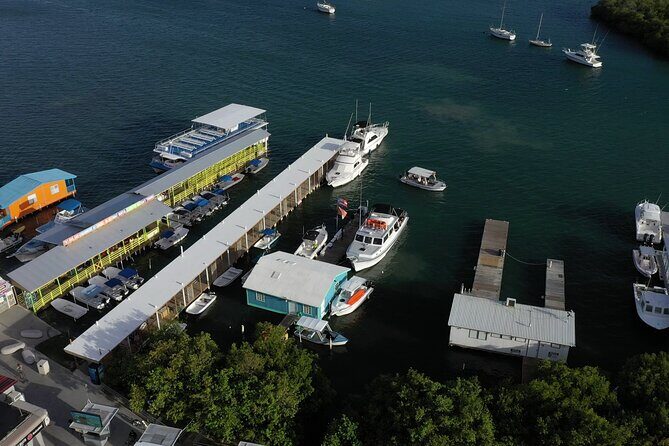 La Parguera Glowing Bioluminescent Bay Boat Tour from San Juan - The Sum Up