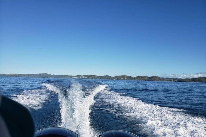 La Parguera Private Boat Charter - The Itinerary: What Can You Expect?