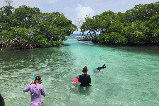 La Parguera Private Boat Charter - Logistics: Booking, Meeting Point, and What’s Included