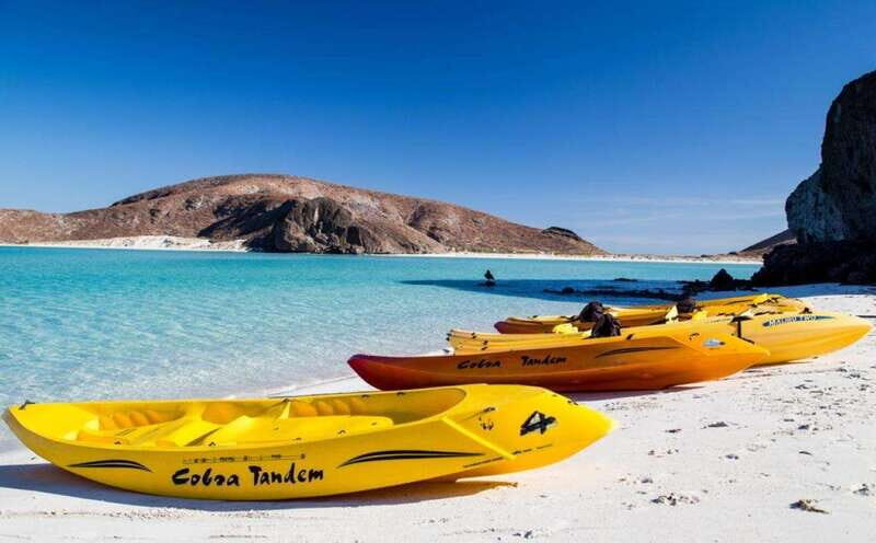 La Paz: 3-Beach Snorkeling Tour with Lunch and Drinks - The Value of This Tour