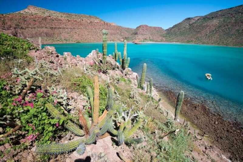 La Paz: 3-Beach Snorkeling Tour with Lunch and Drinks - FAQ