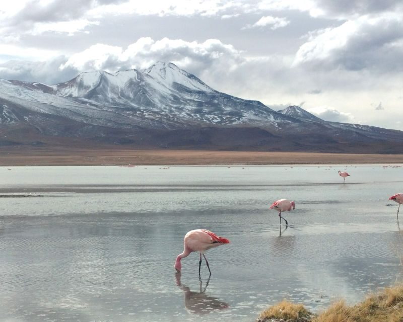 La Paz: 4-Day Uyuni & Colored Lagoons with Flight and Hotel - Key Points