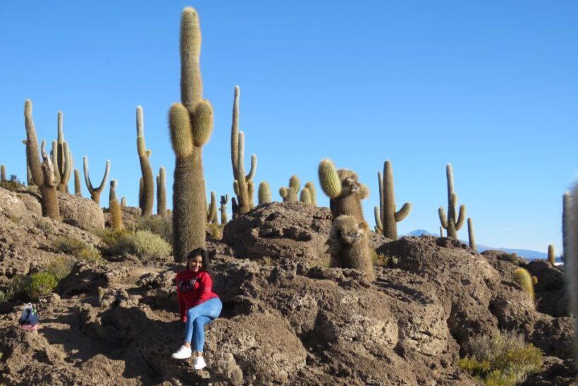 La Paz: 4-Day Uyuni & Colored Lagoons with Flight and Hotel - The Practicalities: What to Expect