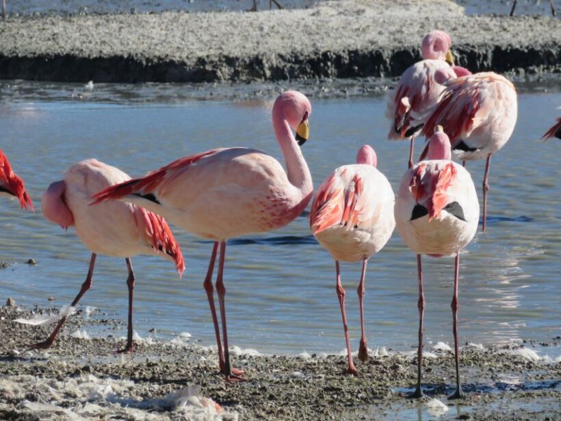 La Paz: 6-Day Private Best-of-Bolivia Tour with Flights - Exploring La Paz and Day 1