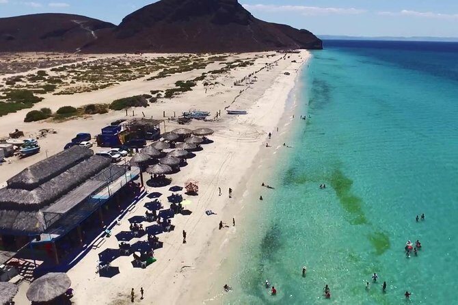 La Paz and Todos Santos City and Beaches Tour - An In-Depth Look at the Tour