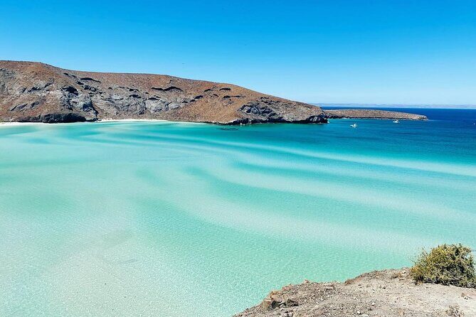 La Paz, Balandra and Todos Santos from CABO and San Jose - The Transportation and Group Experience