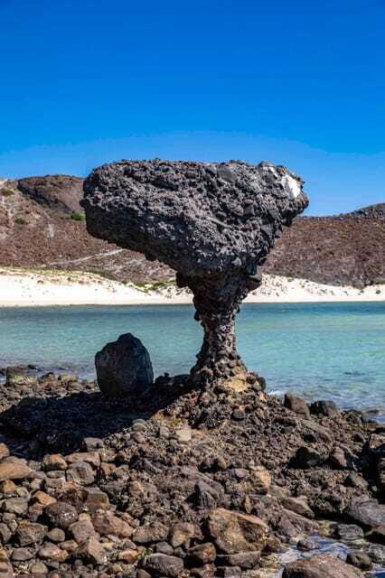 La Paz: Balandra or Tecolote amazing Beach Day Tour - Who This Tour Is Best For