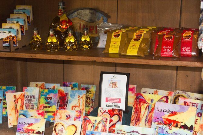 La Paz City Tour from Cabo - Who Will Benefit Most from This Tour?
