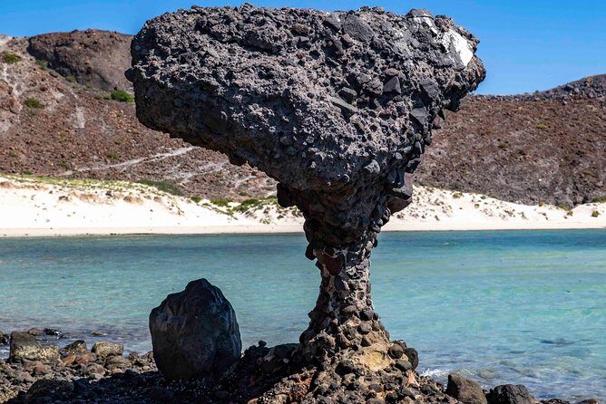 La Paz City Tour from Cabo - FAQ