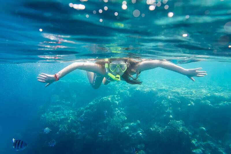 La Paz: Coral Farm Snorkel Tour - The Experience: A Closer Look at What They Offer
