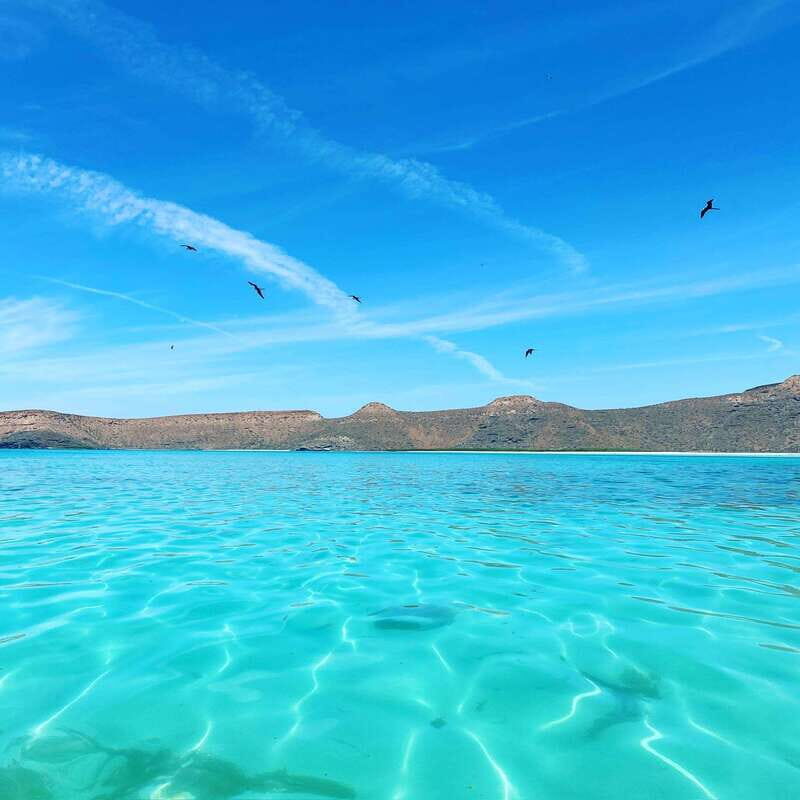 La Paz: Deluxe Yacht Adventure with Paddleboarding - Key Points