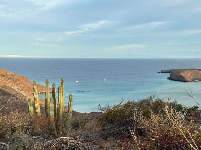 La Paz: Deluxe Yacht Adventure with Paddleboarding - Introduction