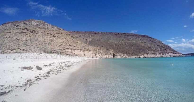 La Paz: Espíritu Santo Island Snorkeling Tour with Lunch - Overall Value and Recommendations