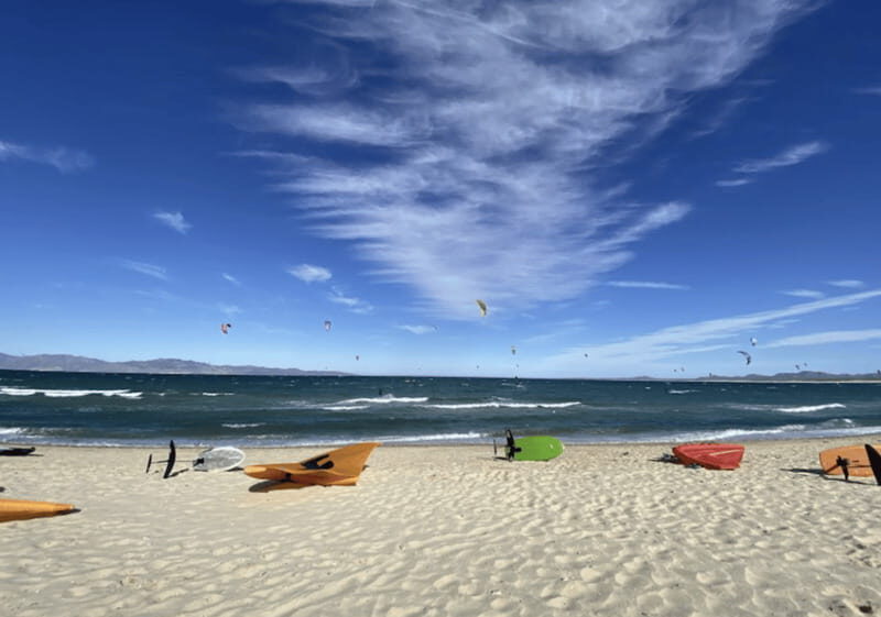 La Paz - Ocean Safari: find dolphins, orcas, and sea lions - The Perfect Audience for This Tour