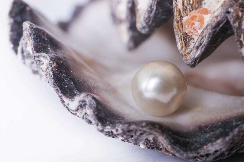 La Paz: Pearl Farm Experience and shop - Key Points