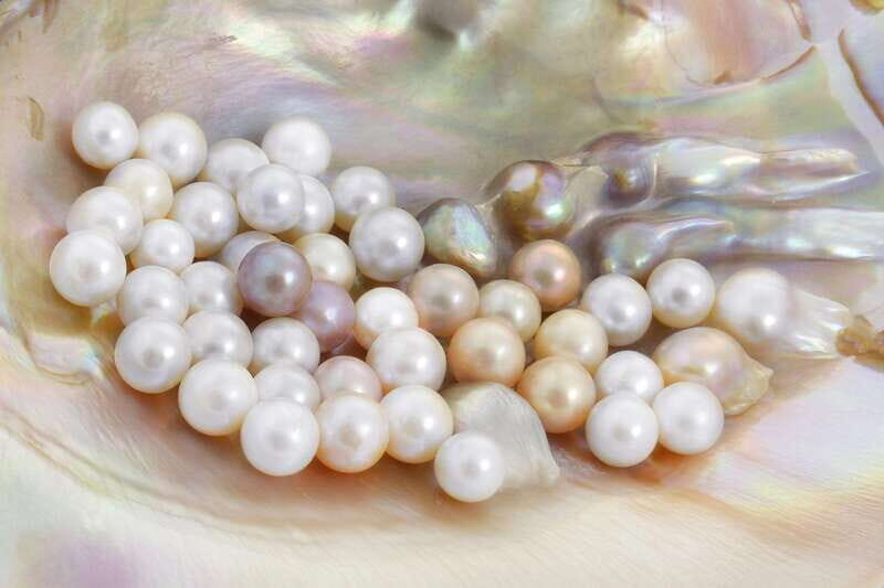 La Paz: Pearl Farm Experience and shop - Exploring La Paz’s Pearl Farm: A Practical Overview