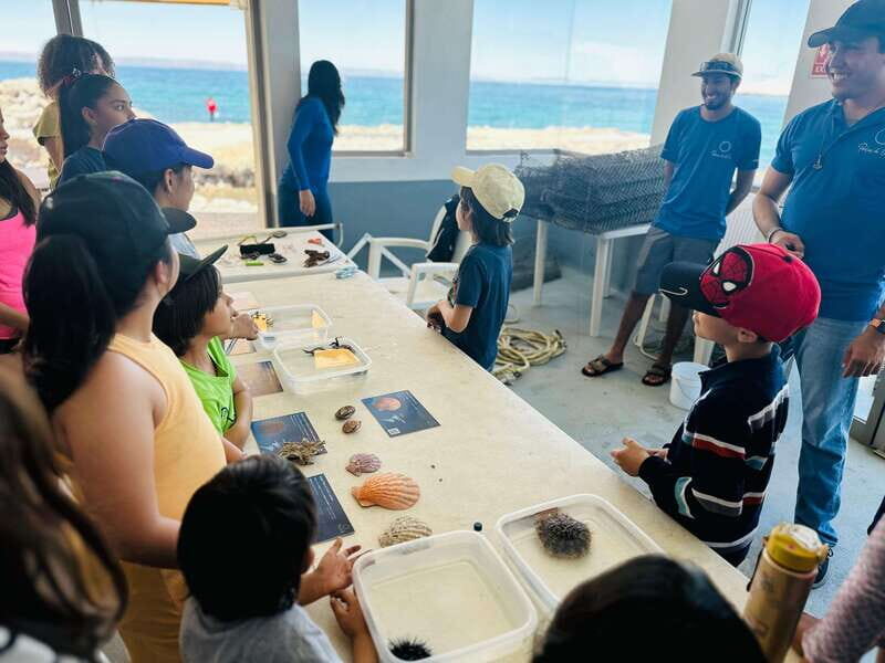 La Paz: Pearl Farm Experience and shop - FAQ
