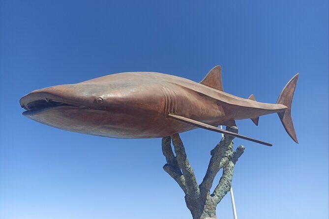 La Paz Private Treasure Hunt - Final Thoughts: Is It Worth It?