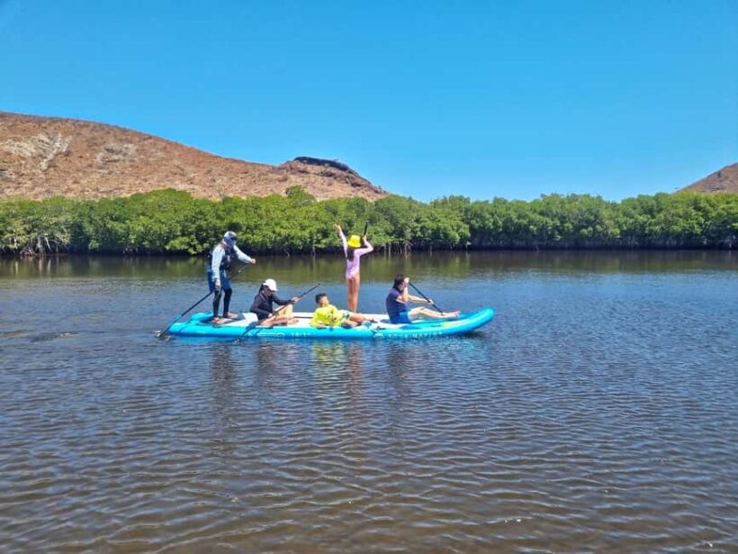La Paz: Sea Lions & Mega-Paddleboard Tour in Balandra - FAQ