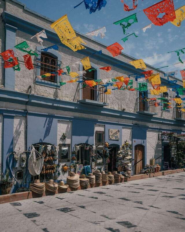 La Paz: Todos Santos Day Trip - Whats Included and Whats Not