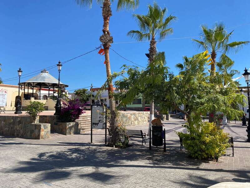 La Paz: Todos Santos Day Trip - Who Should Take This Tour?