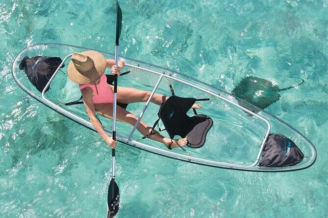 La Paz Transparent Kayaks & Paddle Boards - What’s Included and What to Expect