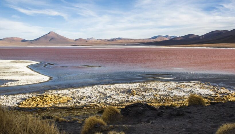 La Paz: Uyuni Salt Flats and Incahuasi Island 5 days by bus - Exploring Bolivia’s Natural Wonders