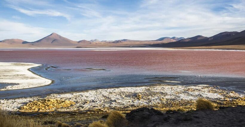 La Paz: Uyuni Salt Flats and Incahuasi Island 5 days by bus - Returning to La Paz