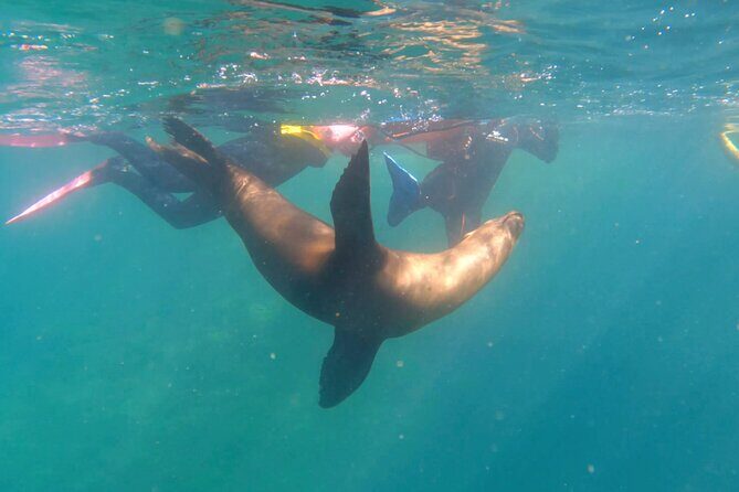 La Paz Wildlife Ocean Safari & Beach Club Leisure in La Ventana - Key Points