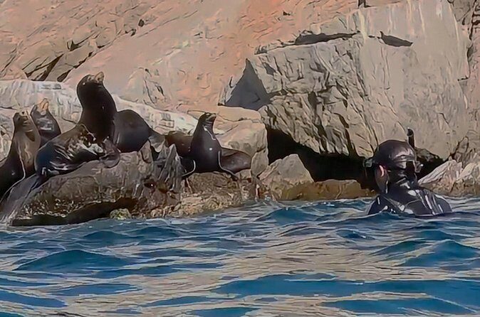 La Paz Wildlife Ocean Safari & Beach Club Leisure in La Ventana - FAQ