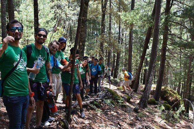 La Pirámide Park // WALK AND DISCOVER THE PARK - Frequently Asked Questions