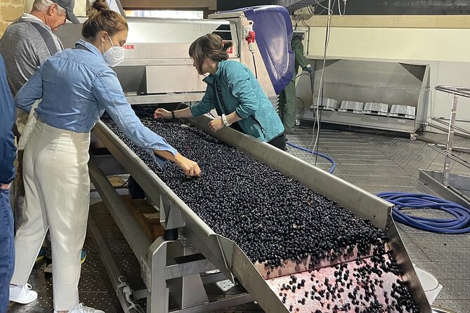 La Rioja Boutique Wine Tour & Charming Lunch (From Bilbao) - Accessibility and Cancellation Policy