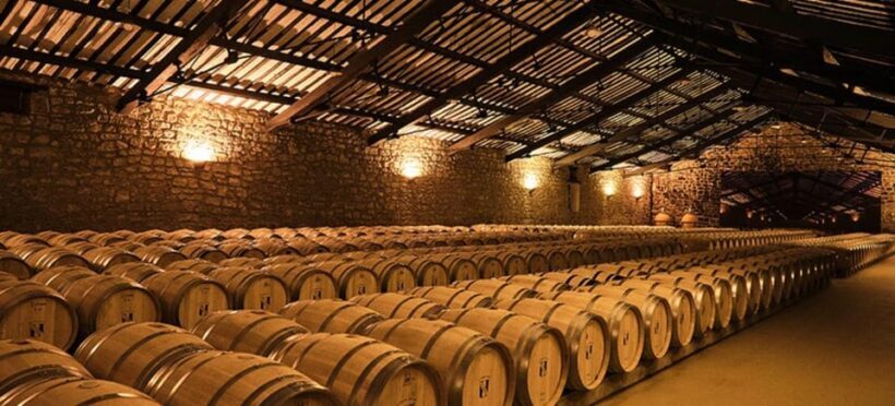 La Rioja: Guided visit to CVNE Winery and wine tasting - The Sum Up