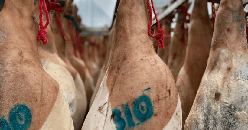La Rioja: Jamon Iberico Farm Tour and Tasting with Wine - Who Is This Tour Best For?