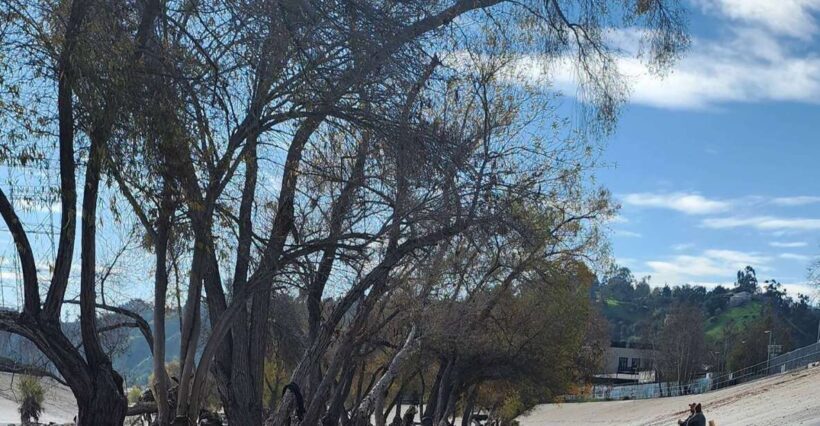 LA River Eco Tour and Secret Stair Hike - Final Thoughts: Is It Worth It?