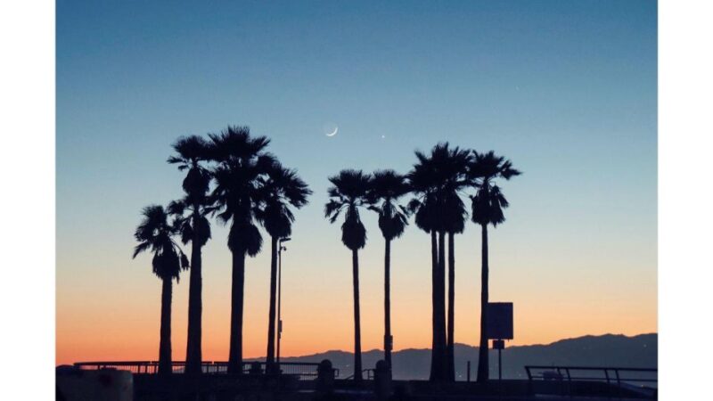 LA River Eco Tour and Secret Stair Hike - An In-Depth Look at the Tour Experience