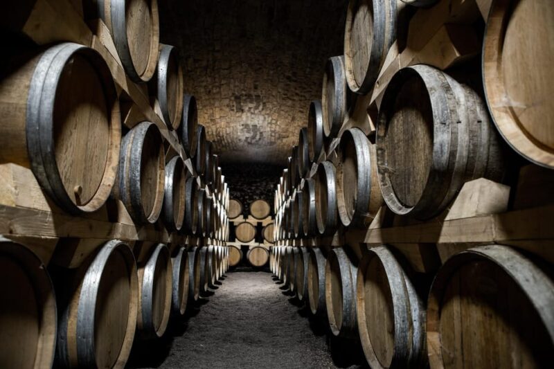 La Roche Vineuse: Visit to the Vine and Wine Museum - Key Points