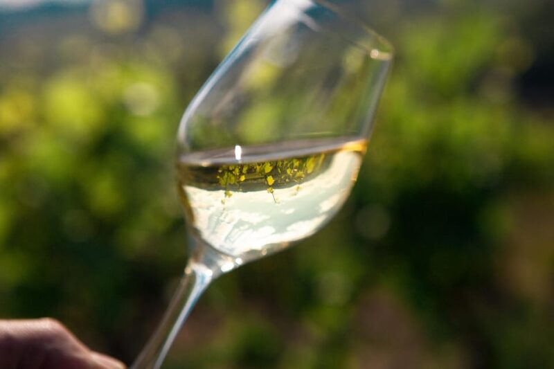 La Roche Vineuse: Visit to the Vine and Wine Museum - Museum and Wine Experience