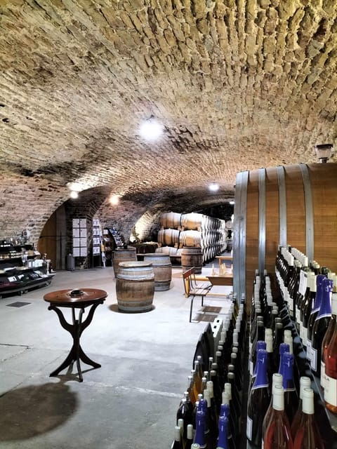La Roche Vineuse: Visit to the Vine and Wine Museum - Exploring the Wine Varieties