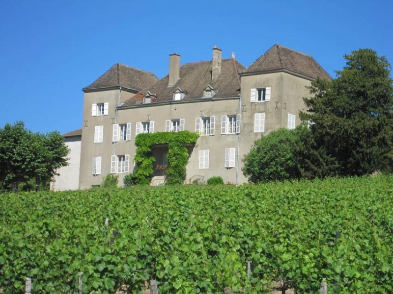 La Roche Vineuse: Visit to the Vine and Wine Museum - Booking and Reservations