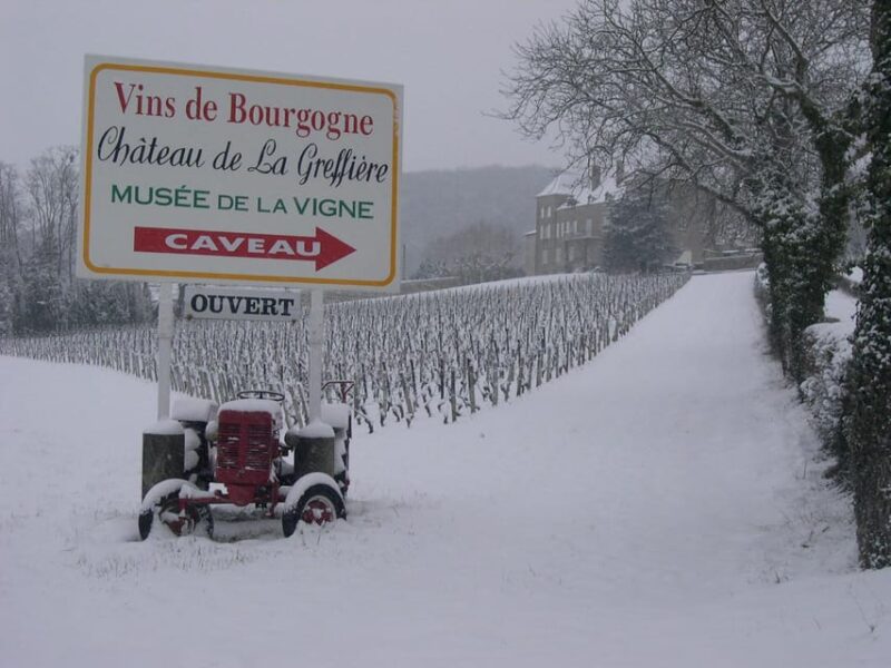 La Roche Vineuse: Visit to the Vine and Wine Museum - Connecting With the Greuzard Family Legacy