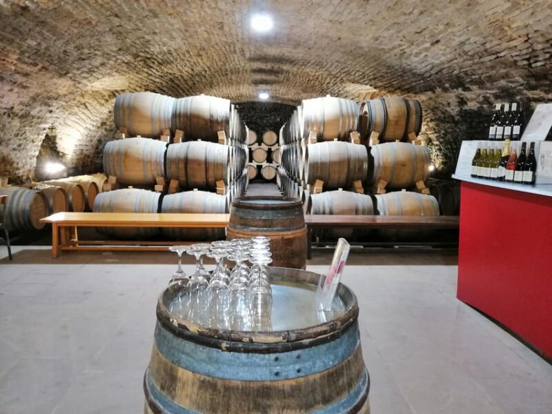 La Roche Vineuse: Visit to the Vine and Wine Museum - Since You Asked