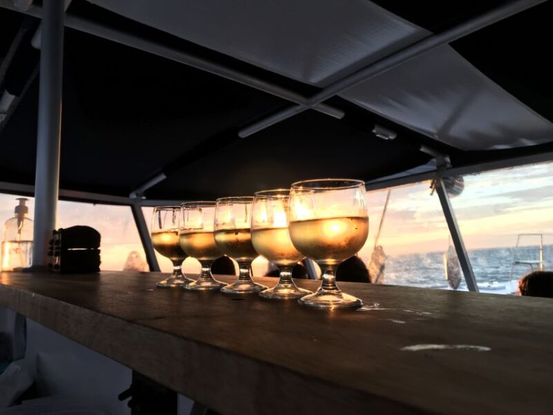 La Rochelle: Catamaran Cruise - Why This Tour Offers Good Value